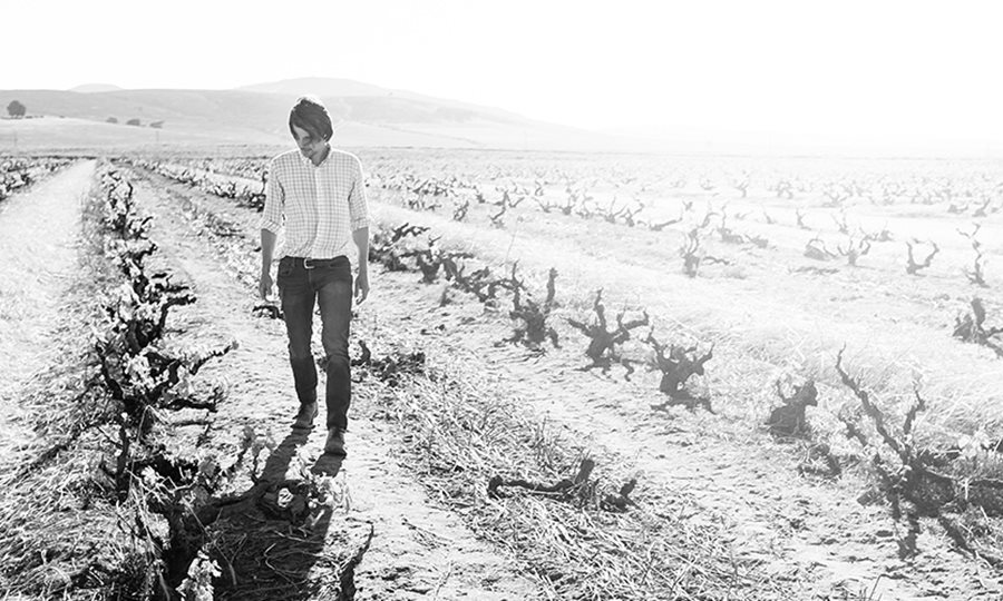 An Interview with Alex Milner, the Cinsault Winemaker